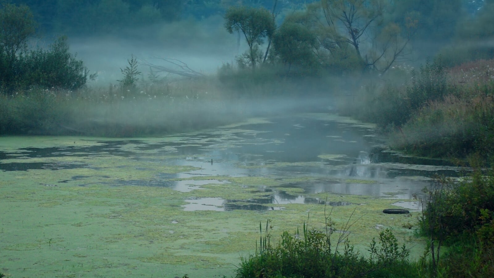 How to keep a data lake from becoming a swamp - Bank Automation News